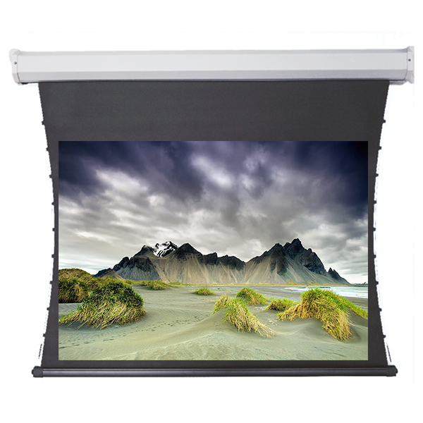 Liberty Redleaf 110" (16:9) Elite Tab Tension Screen with Matte White ...