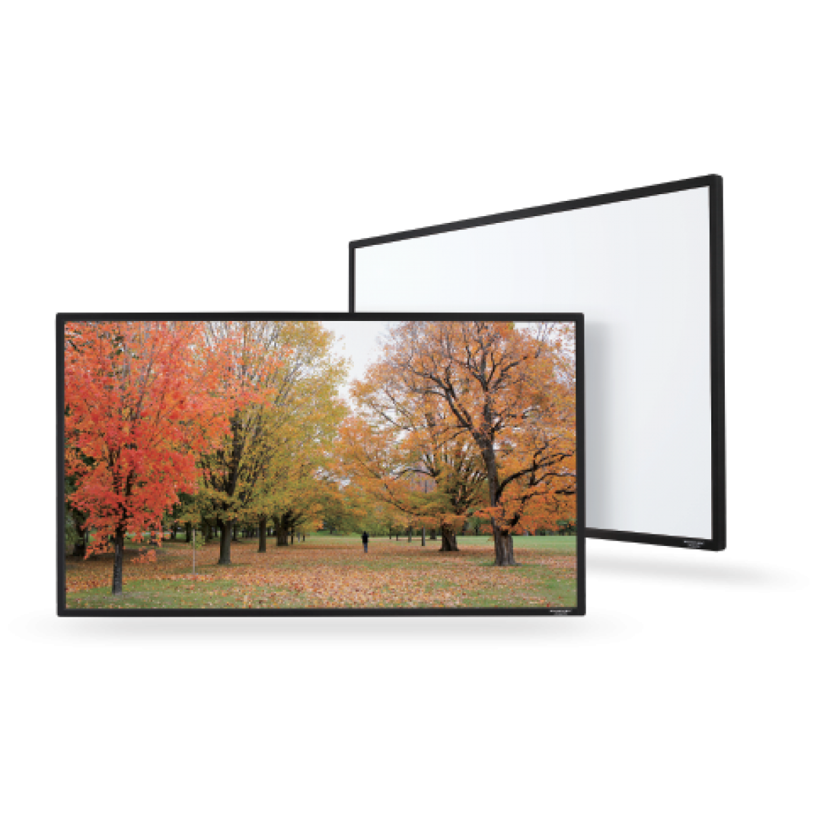Liberty Grandview 80"(16:9) Edge Fixed Frame Screen With 2.9 Cms Frame ...