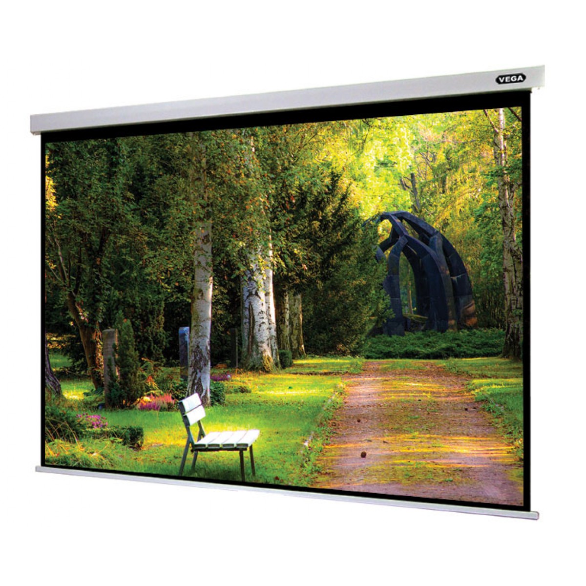 Liberty Show Manto 110" (16:9) Motorized Screen with Matte White Fabric ...