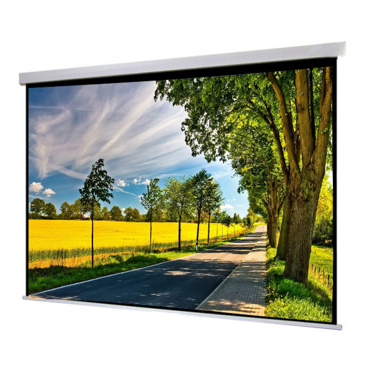 Liberty Show Manto 133" (16:9) Motorized Screen with Matte White Fabric ...