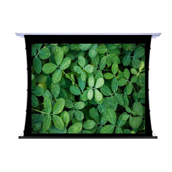 Liberty Screen Pro 135" 16:9 Special In-Ceiling Recessed Tab Tension ...
