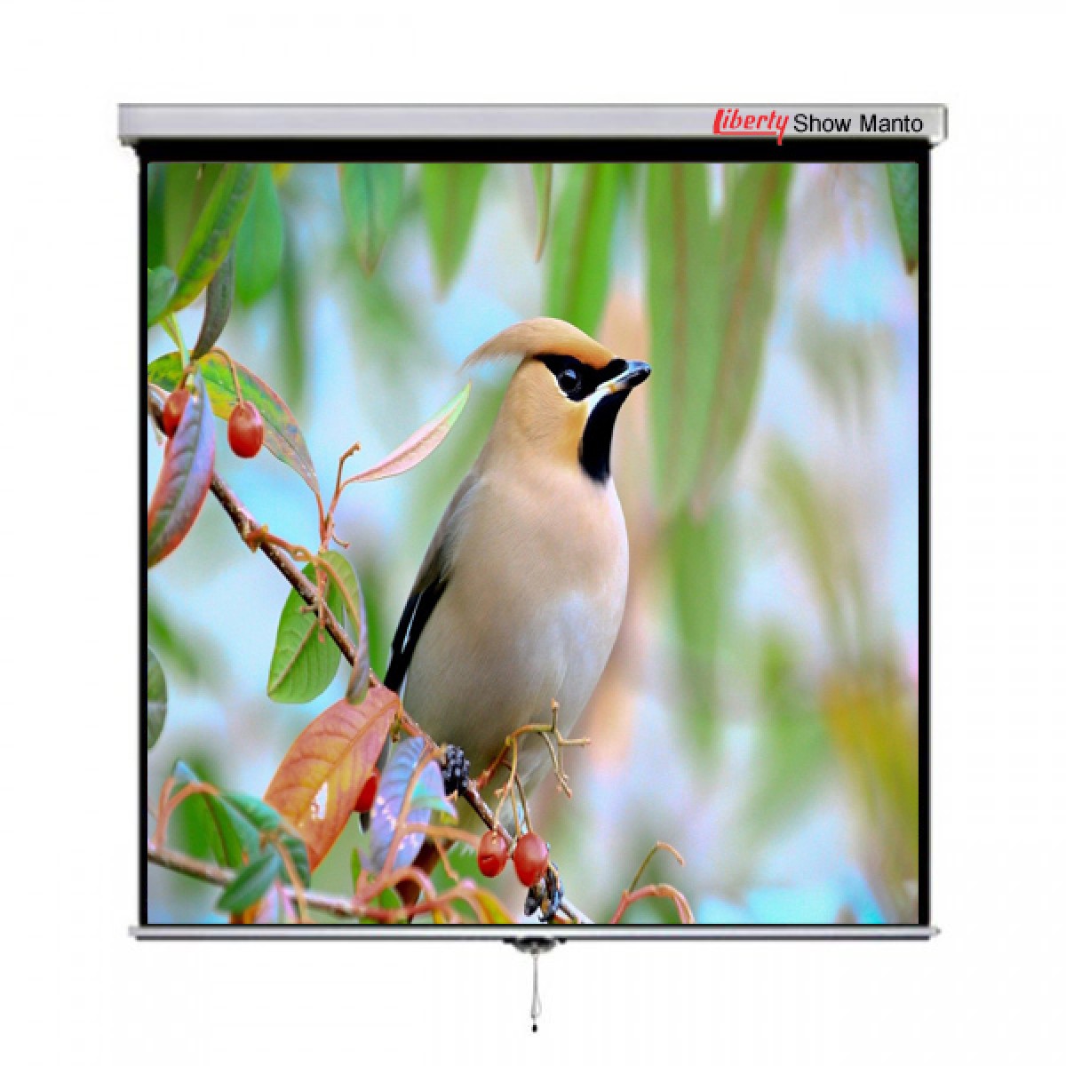 Liberty Show Manto 150" (16:9) Instalock with Matte White Fabric Screen.